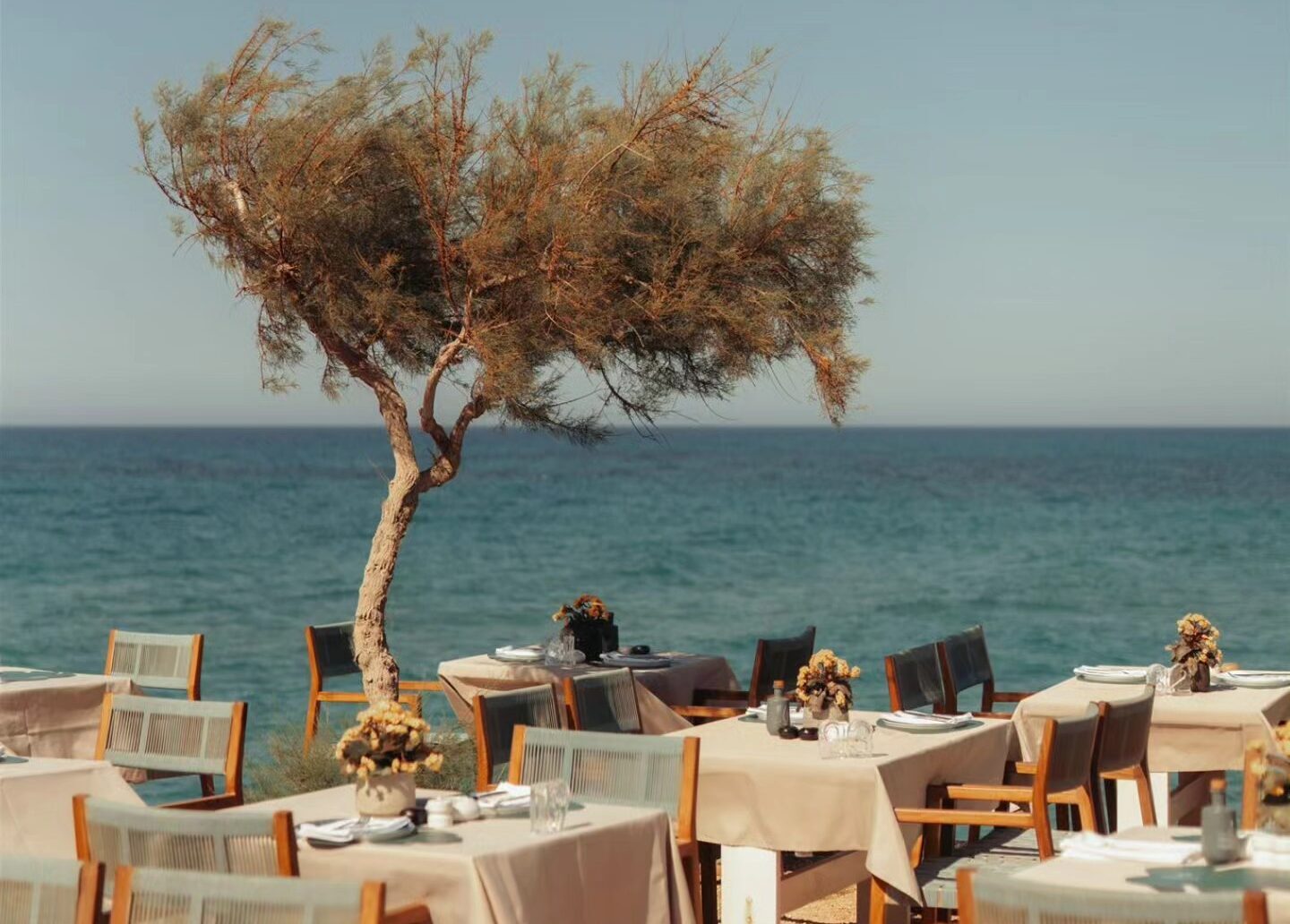 Top 5 culinary destinations in Crete you shouldn't miss - Greek Nights